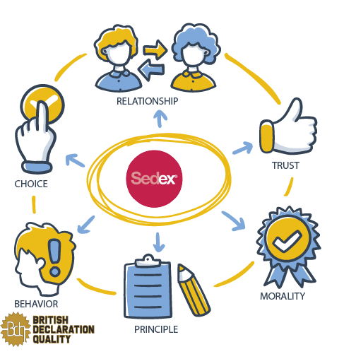 Sedex Belgesinin Faydaları – BDQ Danışmanlık | Belgelendirme Hizmetleri | BSCI , ICS , SEDEX ...